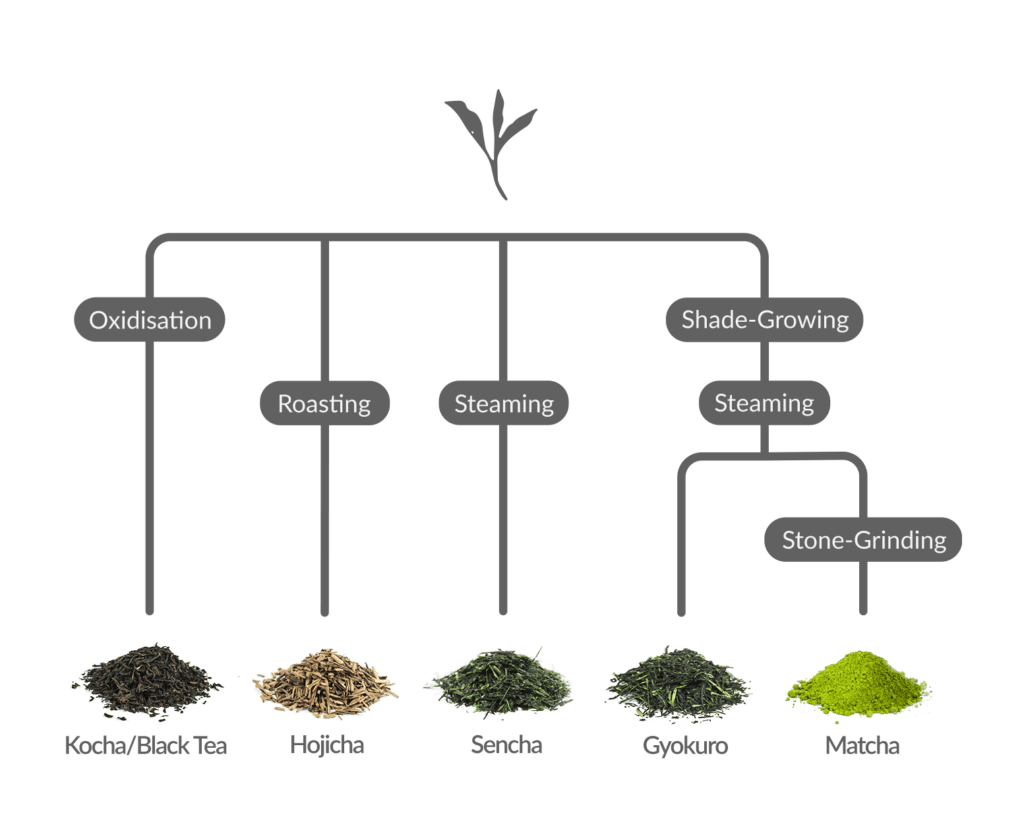 About – Sora Tea Co